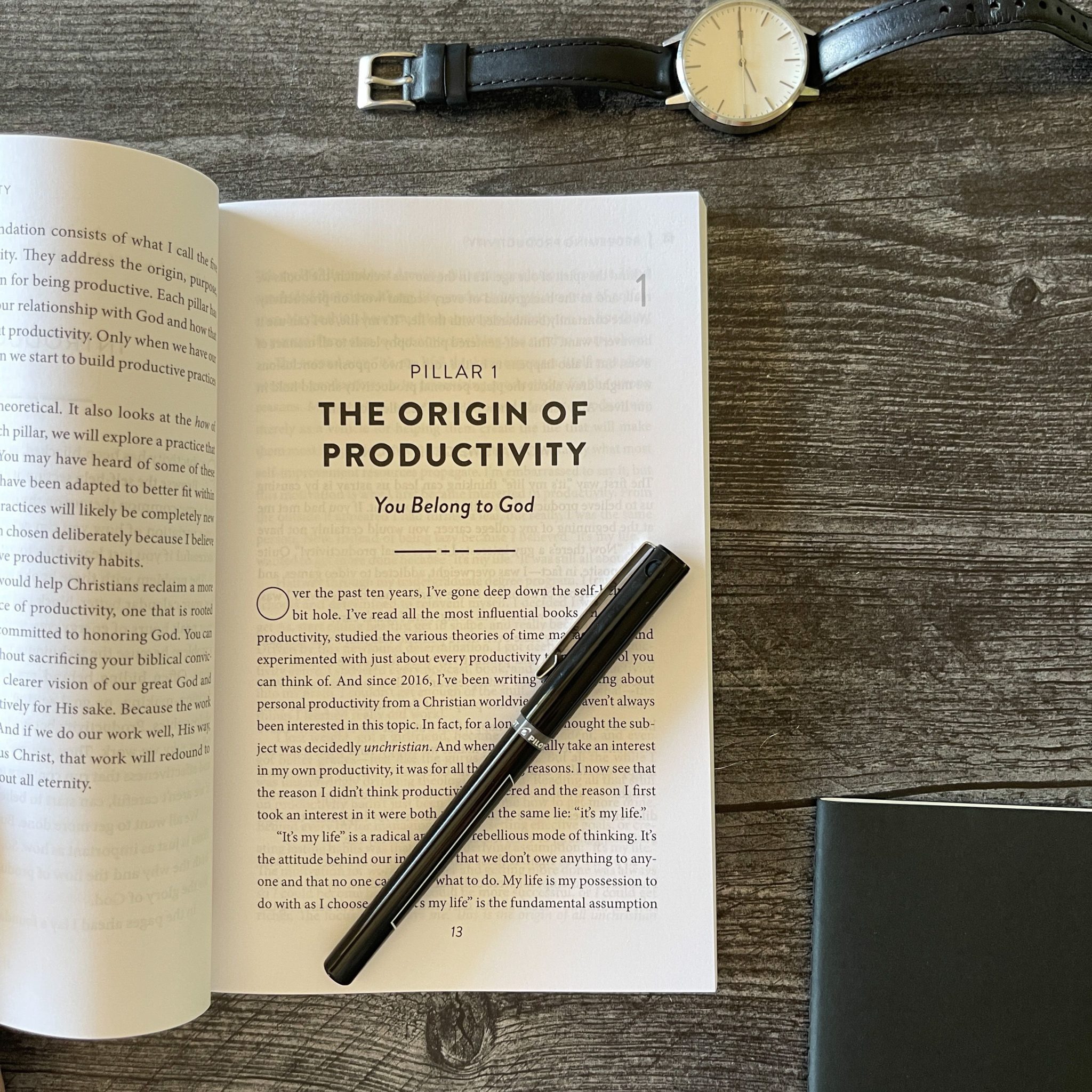 Redeeming Productivity: TMS Alum Reagan Rose Connects Personal ...